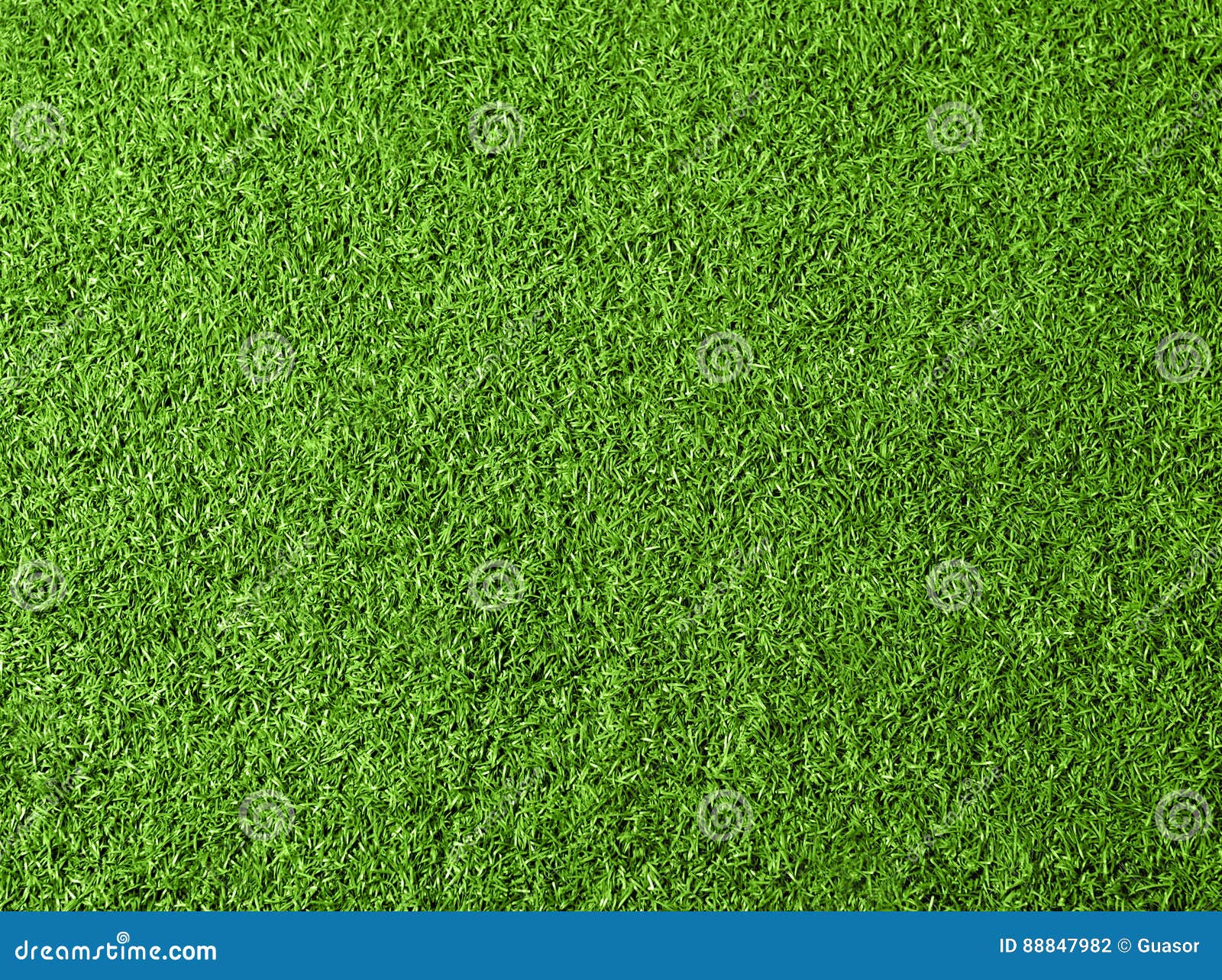 Green Grass Texture Background. Top View Stock Photo - Image of empty ...