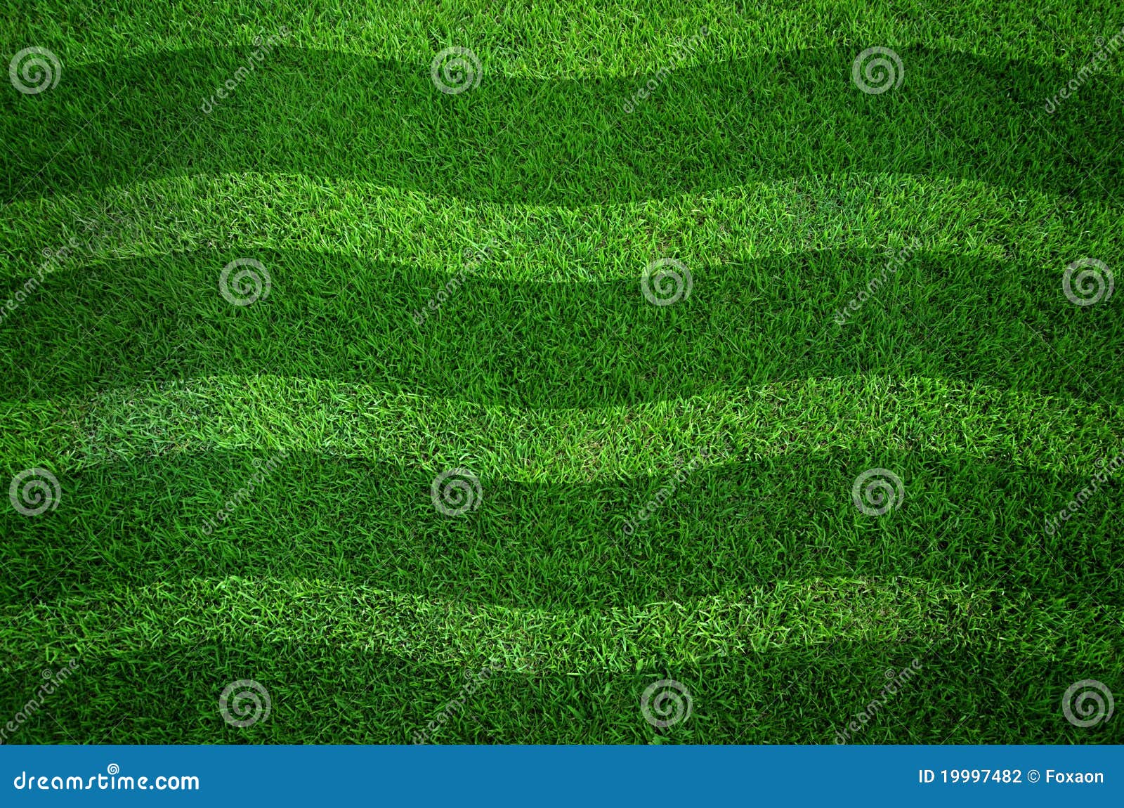 Green Grass Texture Background and Wavy Lines Stock Photo - Image of ...