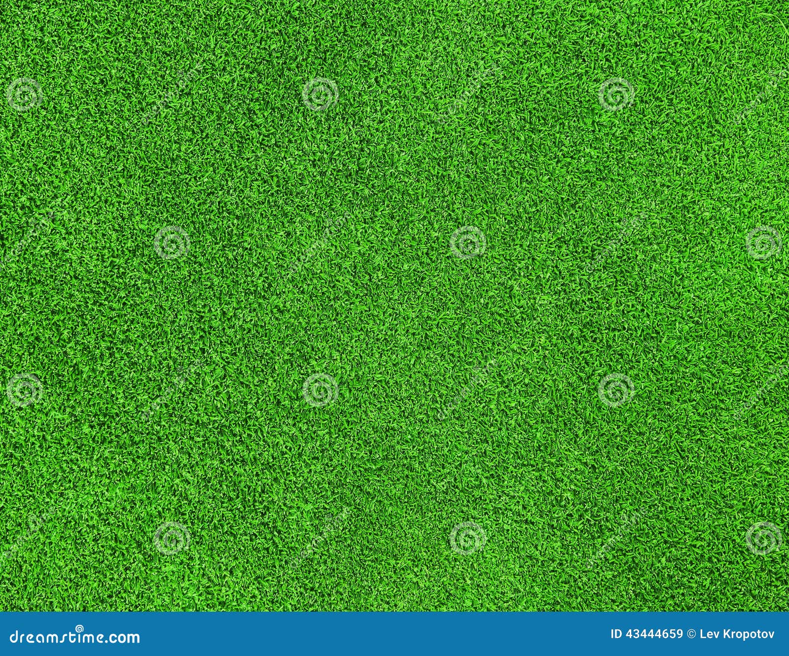 Green grass texture stock image. Image of golf, freshness - 43444659