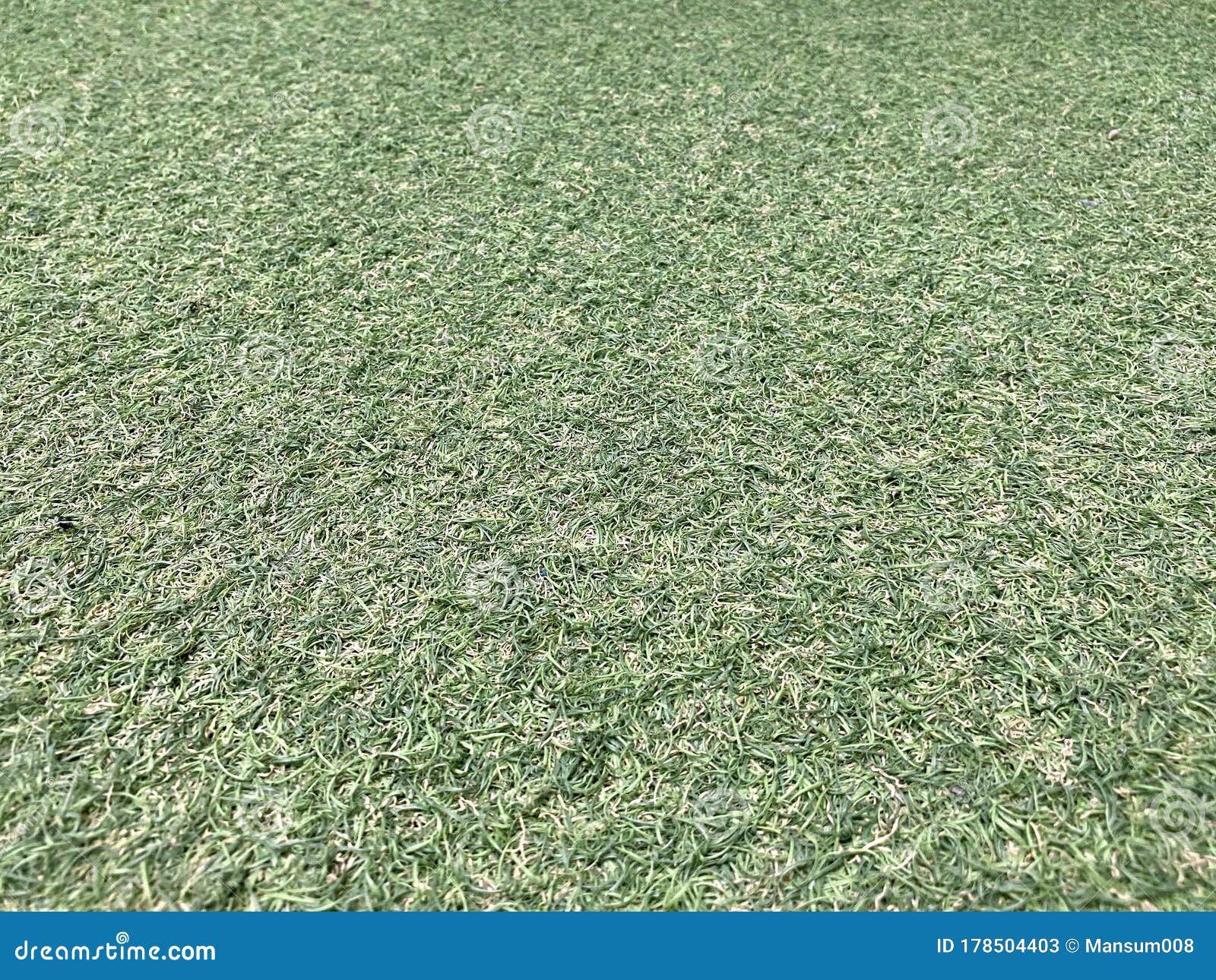 Green grass texture stock image. Image of green, fabric - 178504403