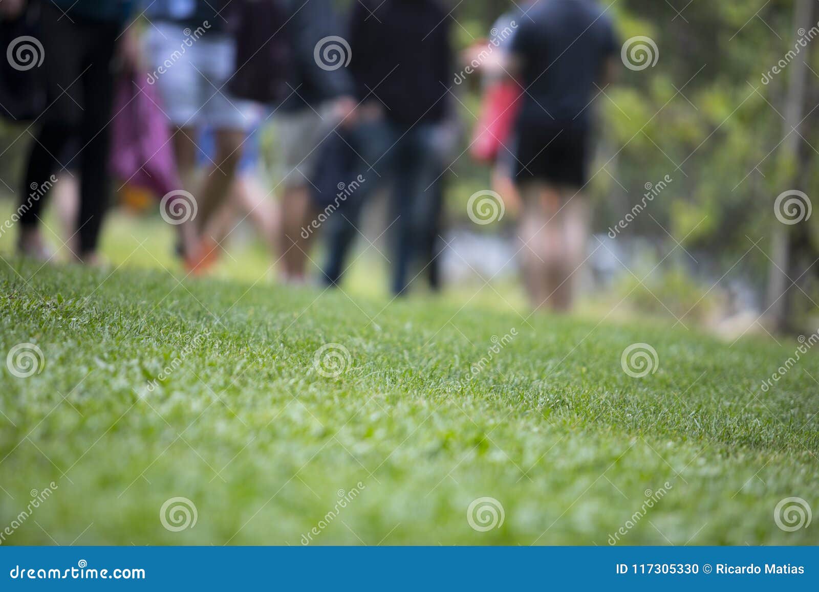 Green Grass Texture from a Field with People in Background Stock Photo ...
