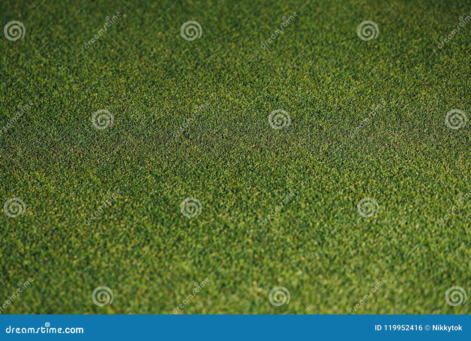 Green Grass Texture at Golf Course Stock Photo - Image of space, dense ...