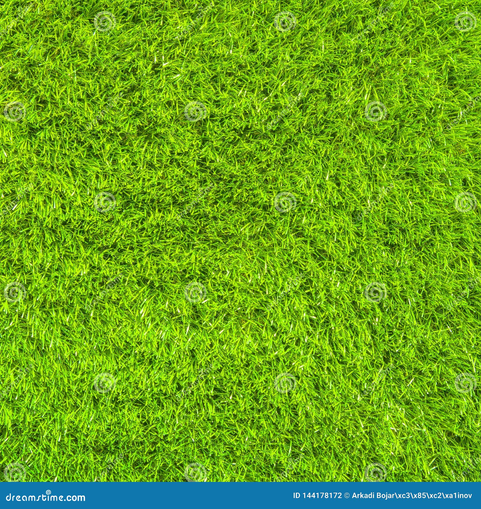 Green grass texture stock photo. Image of clean, grass - 144178172