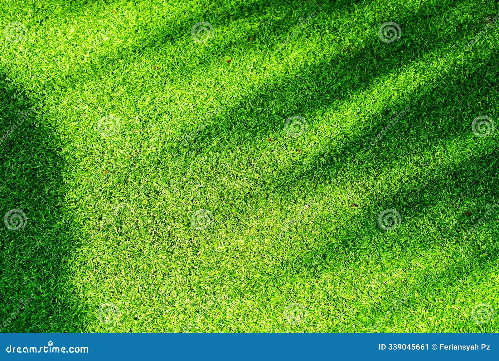 Green Grass Texture with Over Shadow Stock Image - Image of fresh ...