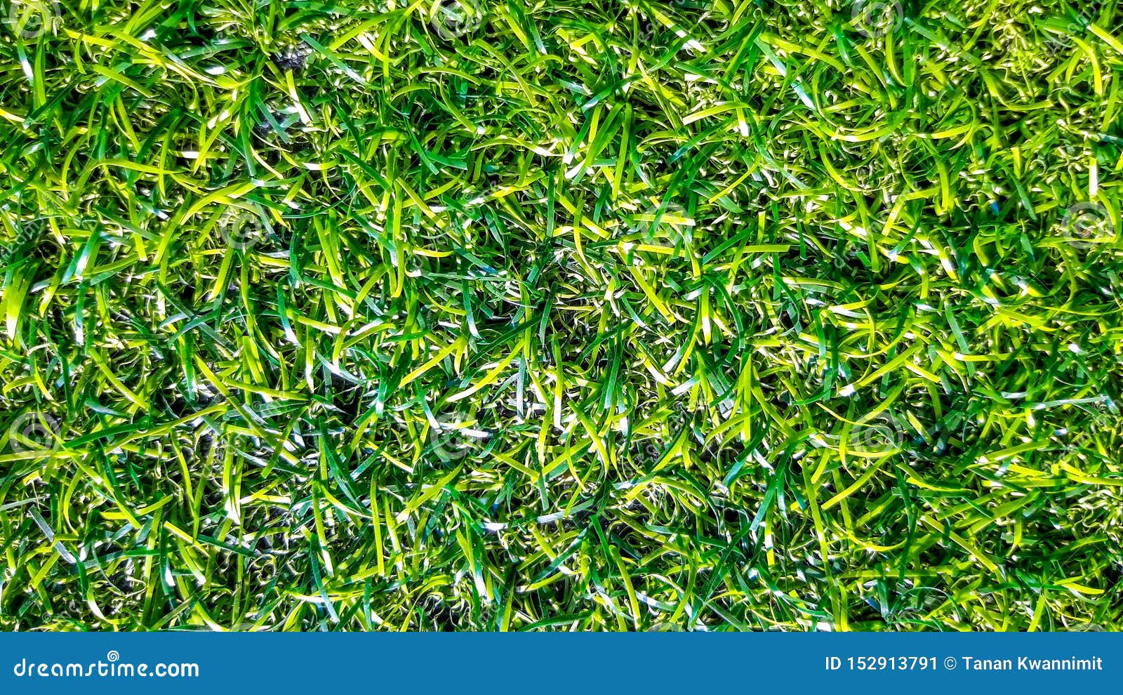 Green Grass Texture Surface Wallpaper Stock Image - Image of black ...