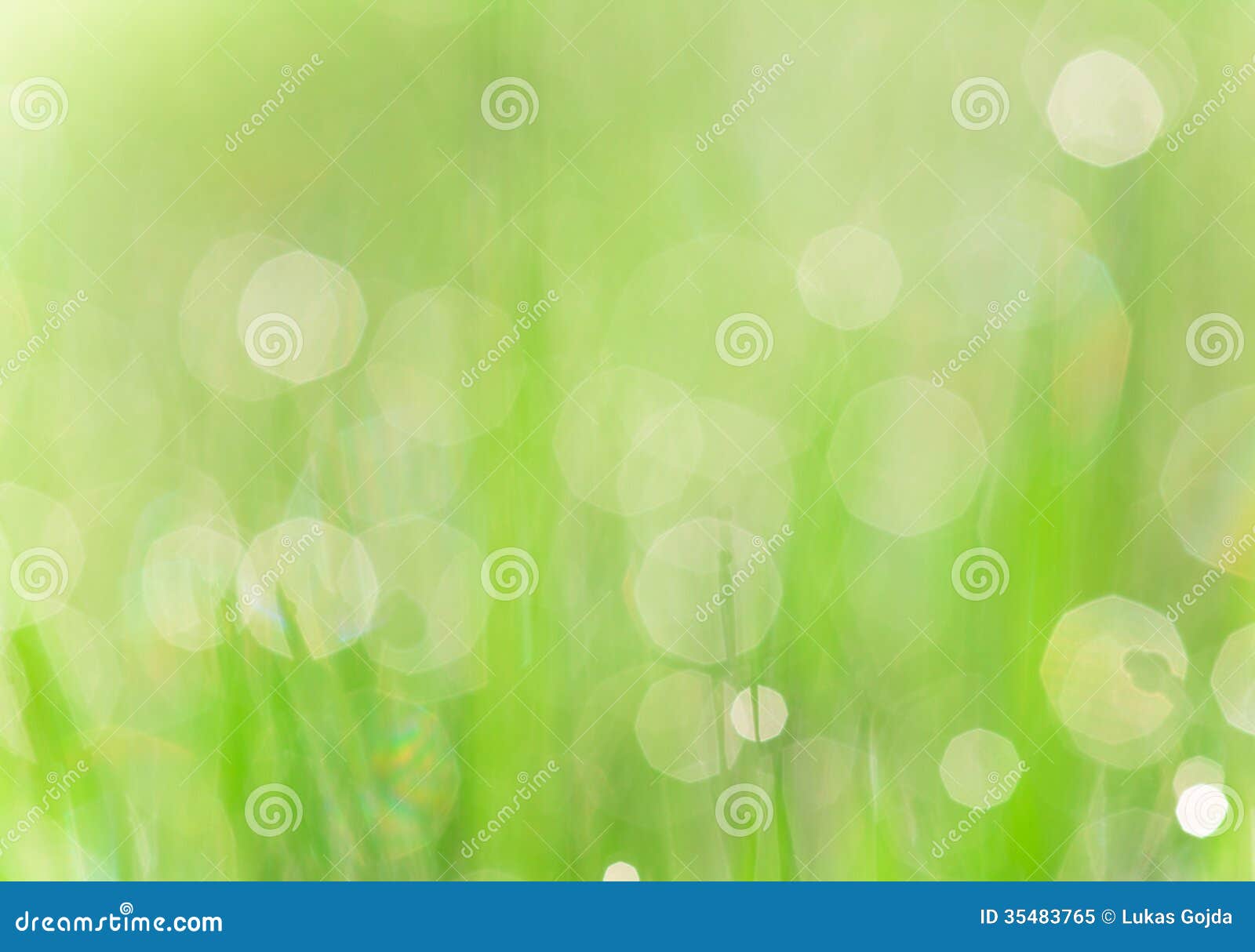 Green Grass Texture with Water Drops. Stock Image - Image of gardening ...
