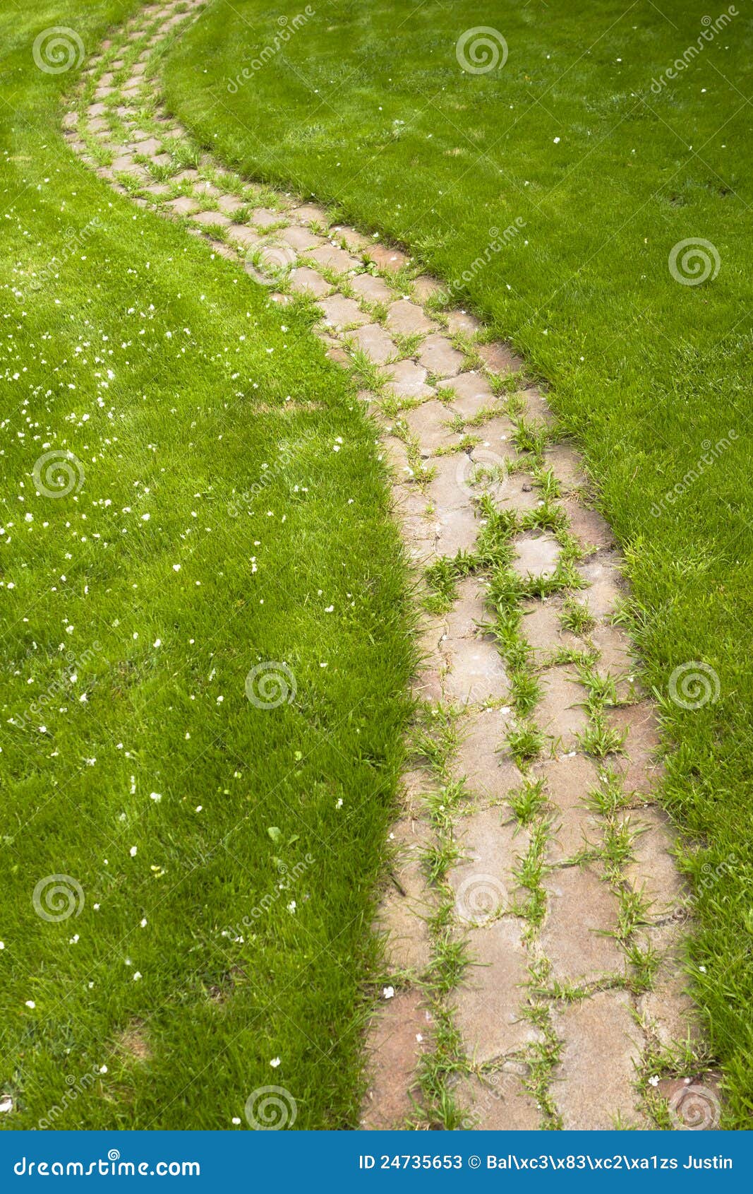The Green Grass To the Footpath Running. Stock Image - Image of ...