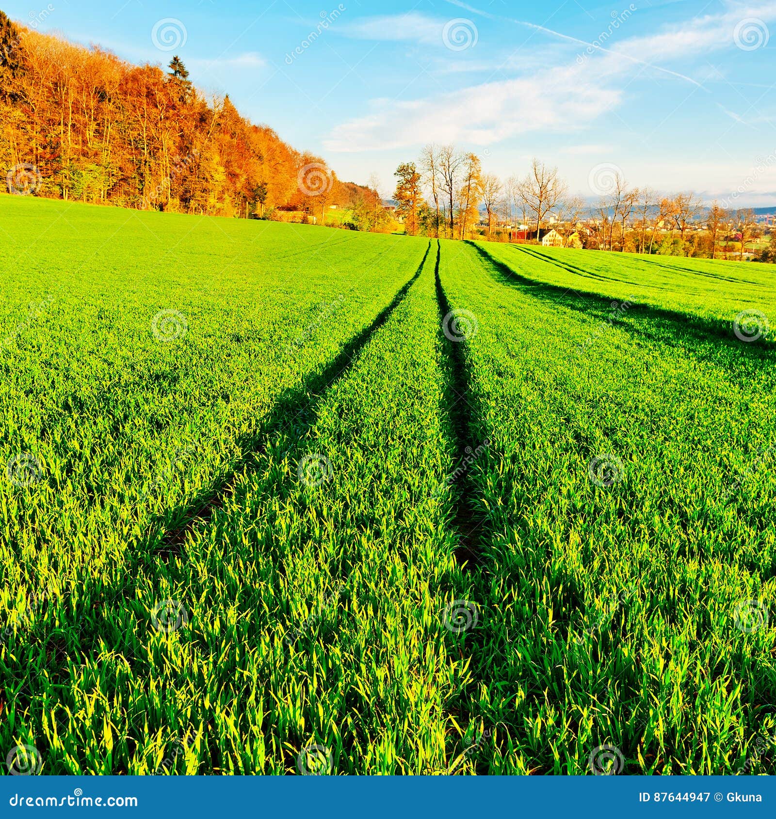 Green Grass stock image. Image of alpine, agriculture - 87644947