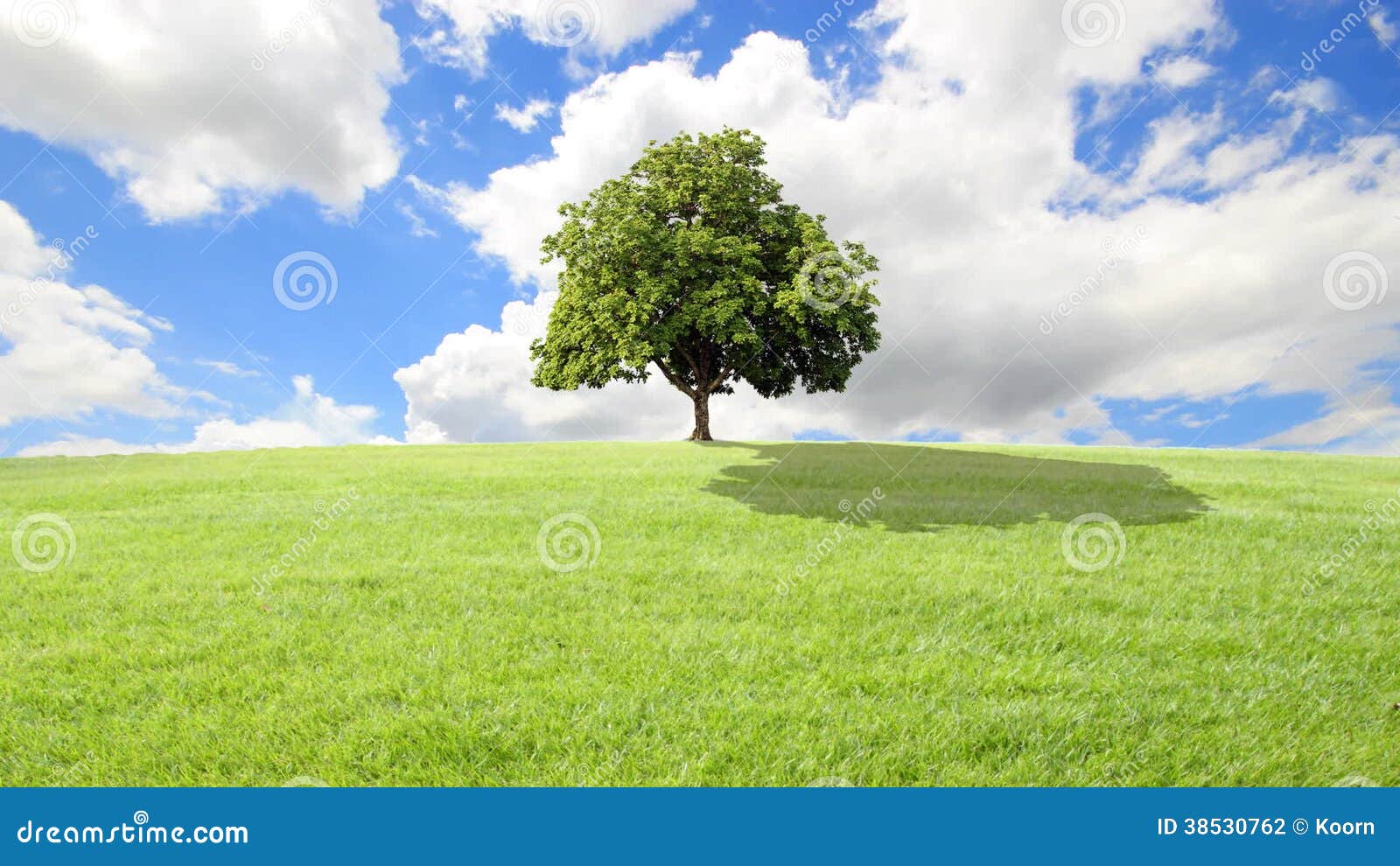 Green Grass and Tree, Clouds Background. Stock Video - Video of clear ...