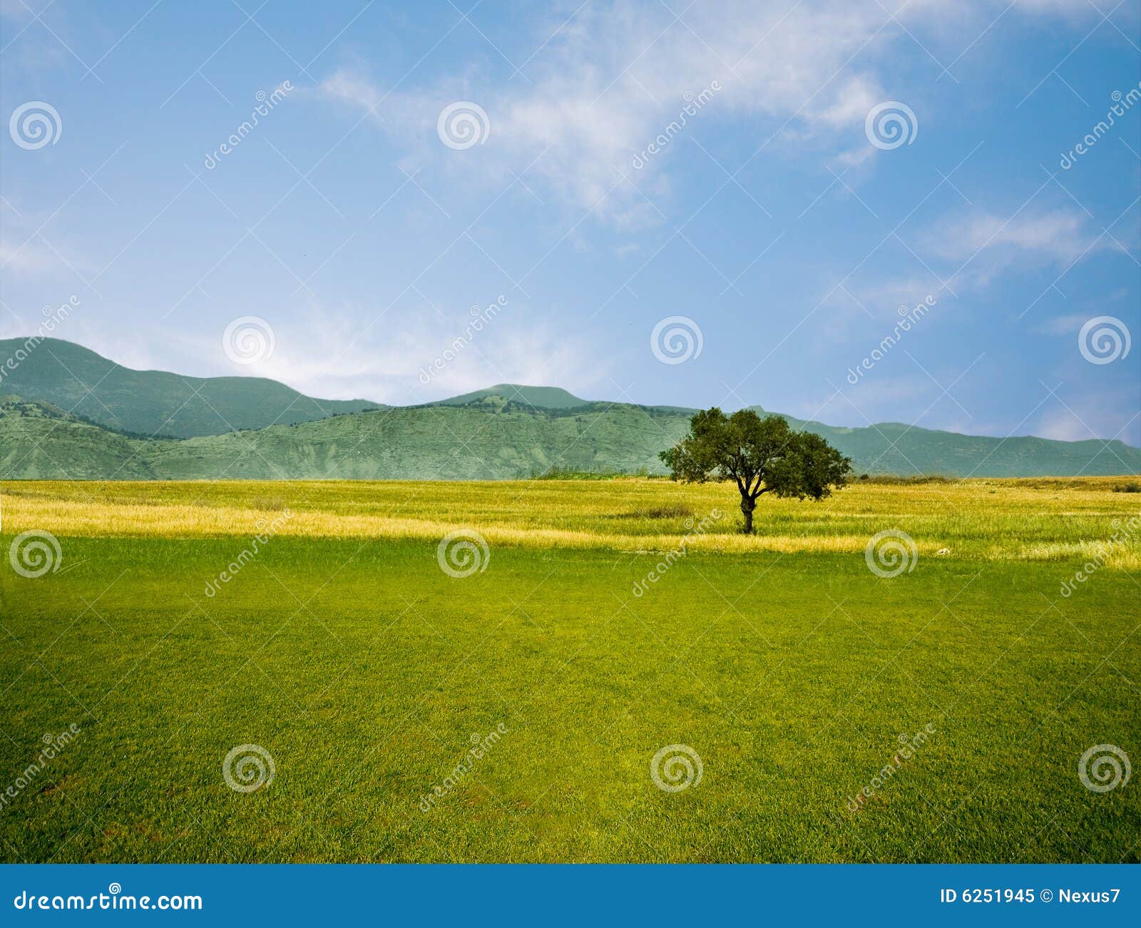 Green Grass, Tree and Sky stock image. Image of country - 6251945