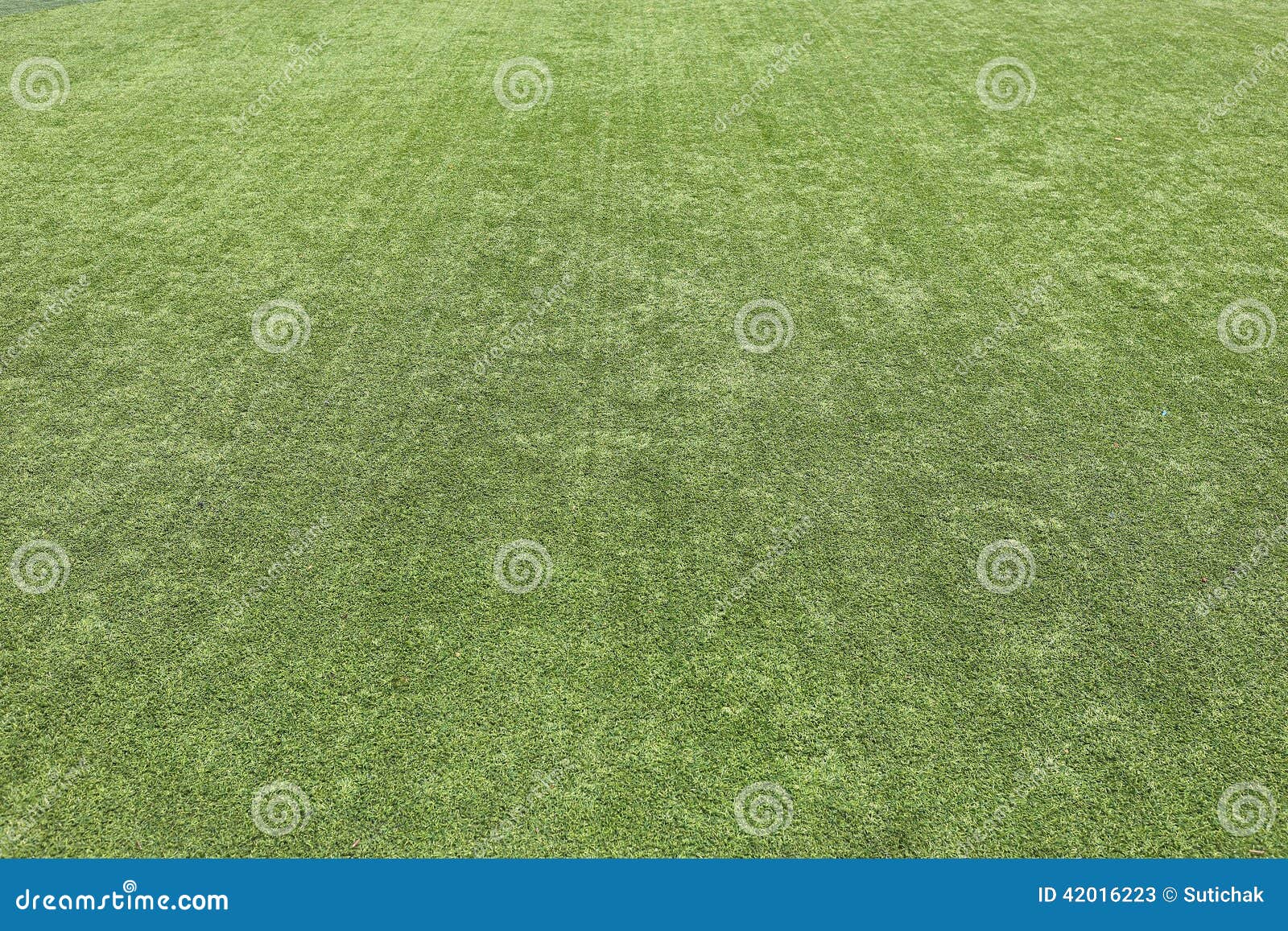 Green Grass Turf Texture Background Stock Image - Image of football ...