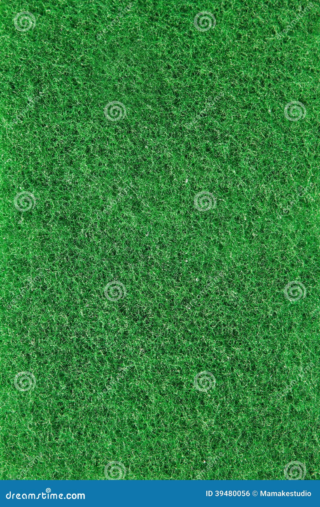 Green grass stock photo. Image of greenery, grassy, land - 39480056