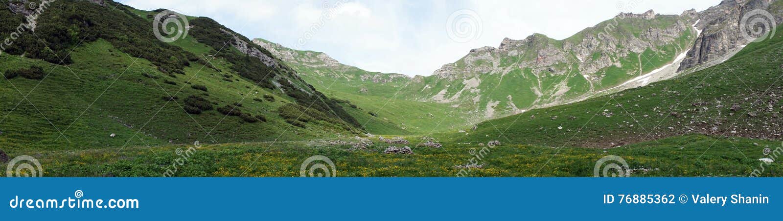 Green grass in valley stock photo. Image of grass, rock - 76885362