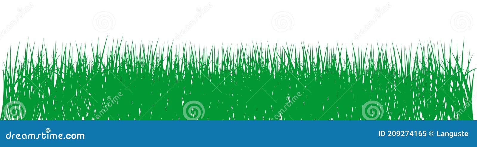 Green Grass Vector Illustration on Isolated White Background. Stock ...
