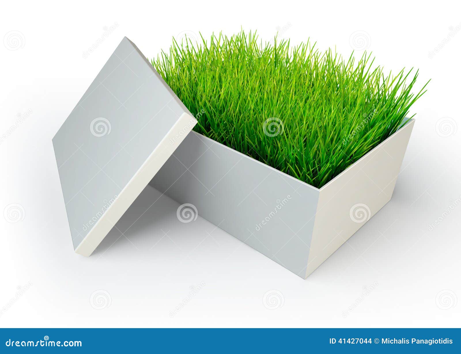 Green Grass in White Open Box Stock Illustration - Illustration of ...
