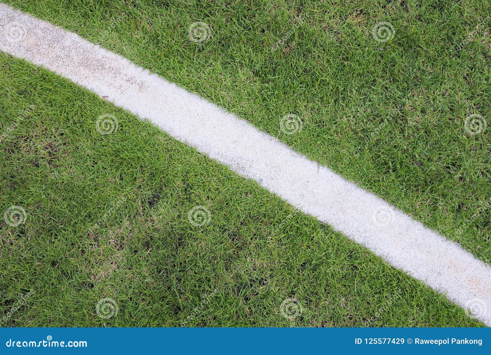 Green Grass with White Stripes Stock Image - Image of natural, foliage ...