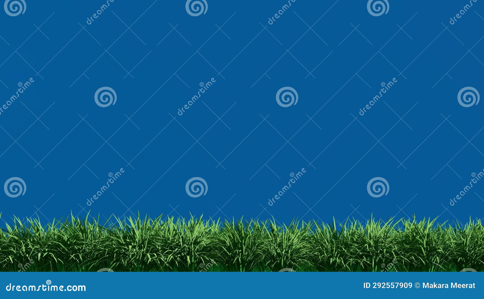 Green Grass on the Wind,Isolated 3d Animation on Blue Screen Stock ...