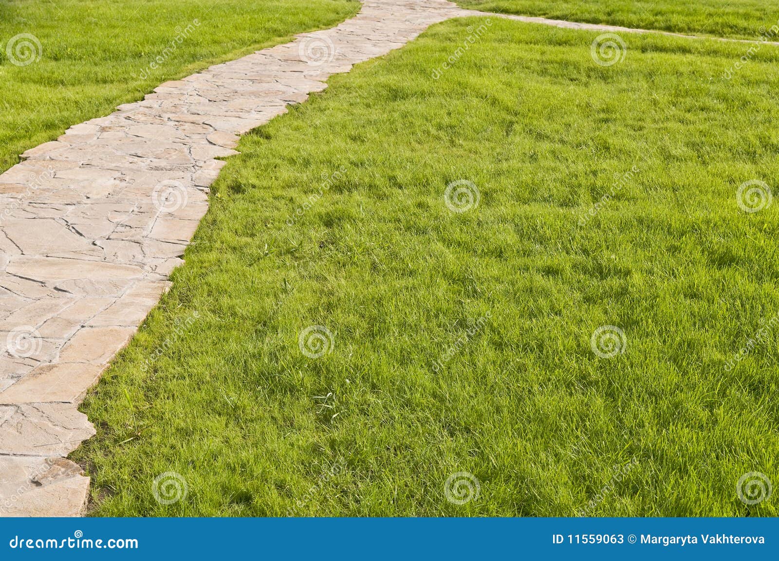 Green grassed area stock image. Image of lush, foliage - 11559063