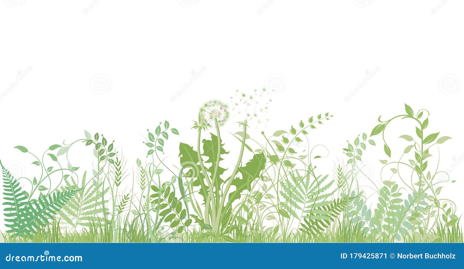 Green Grasses, Plants and Herbs - Illustration Stock Vector ...