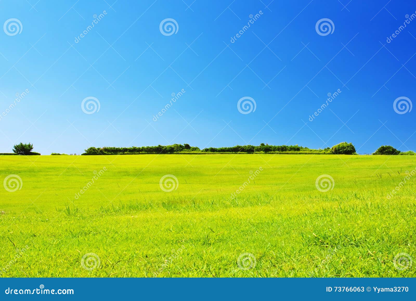 Green Grassland Against Clear Blue Sky Stock Image - Image of yellow ...