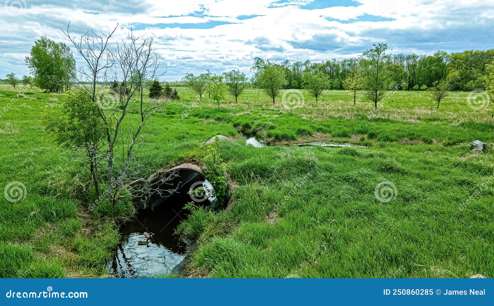Green Grassy Field and Trees with Small Stream in Spring Stock Image ...