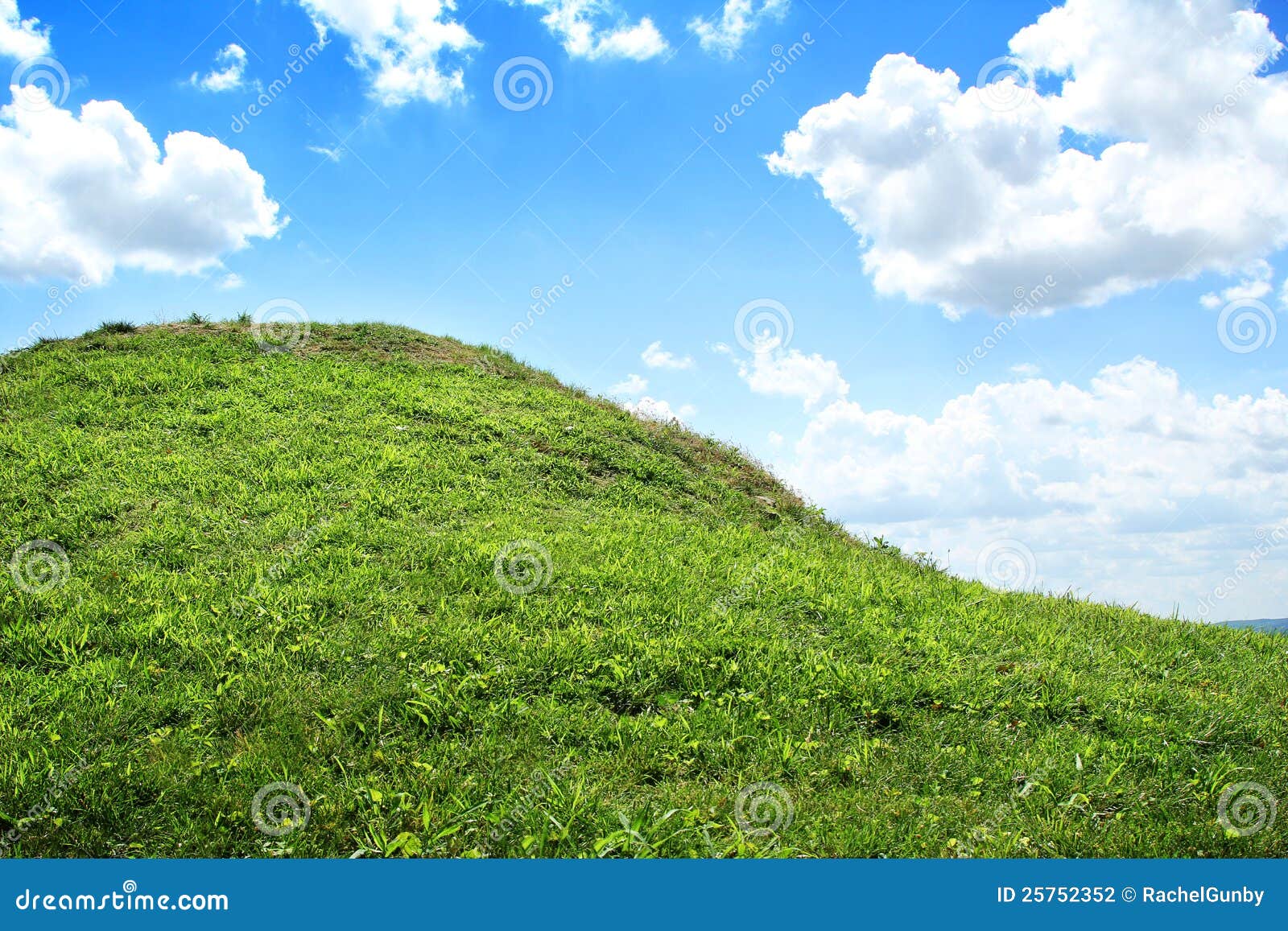 Green Grassy Hill with Blue Sky Stock Photo - Image of sunlight, grass ...