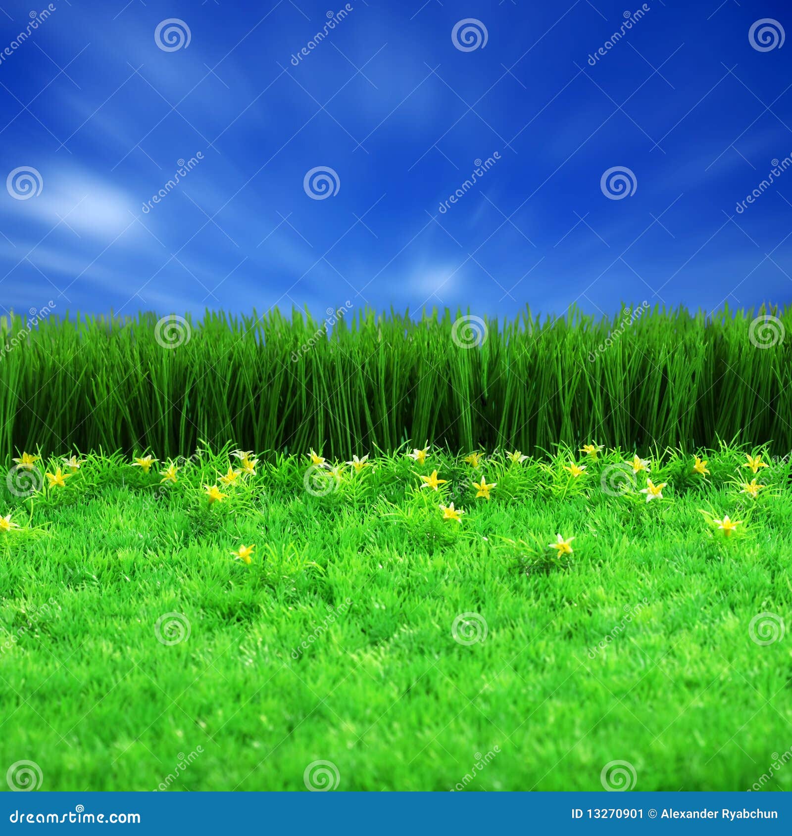 269 Sky Gress Stock Photos - Free & Royalty-Free Stock Photos from ...