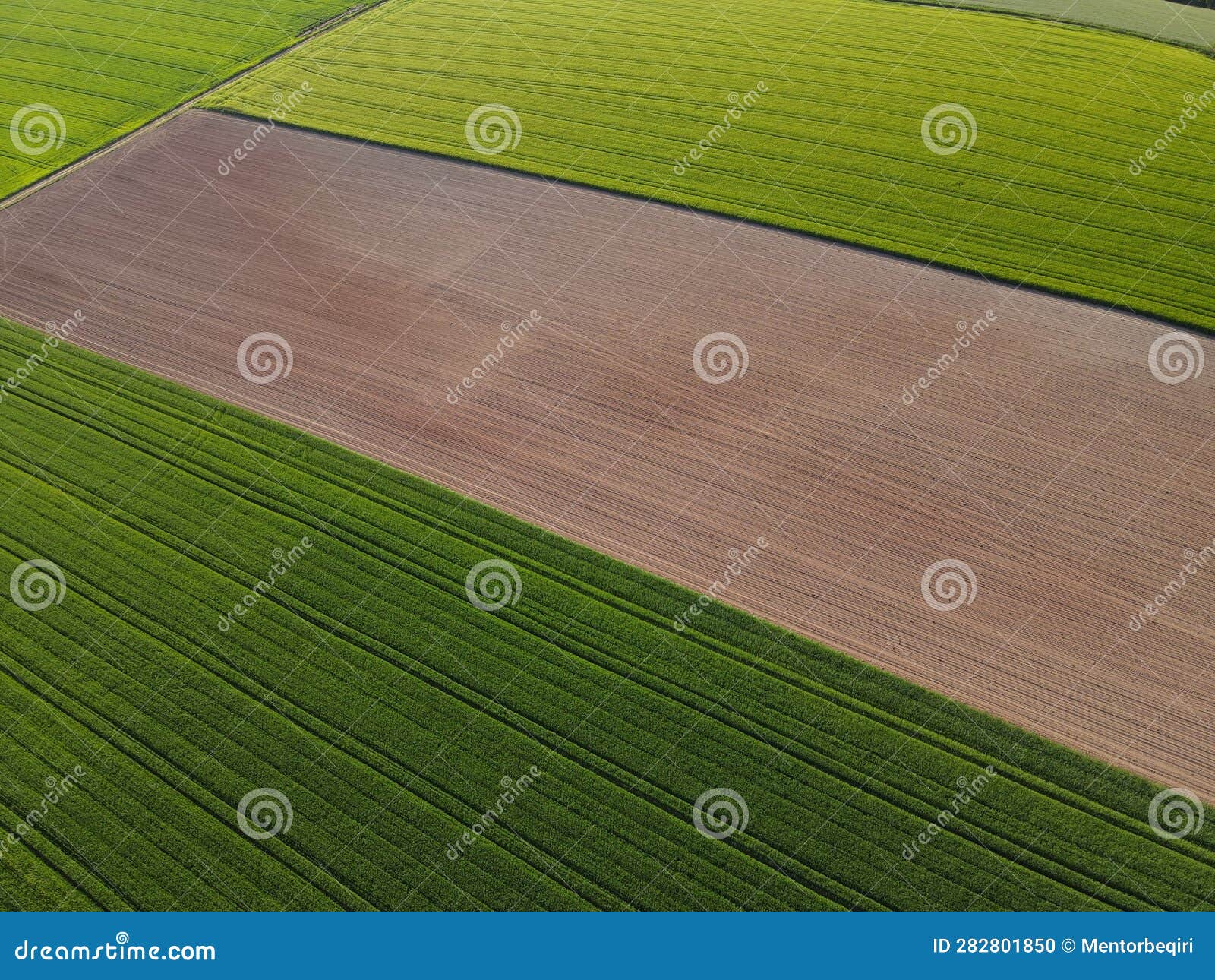 Green Crop Fields and Plowed Agricultural Land from Above in Spring ...