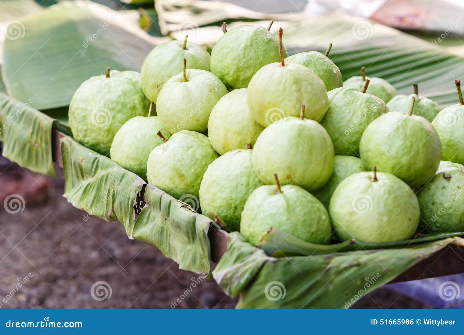 Green Guava on Banana Leave Stock Photo - Image of fruits, white: 51665986
