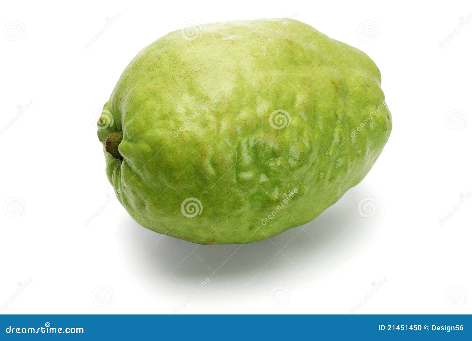 Green guava fruit stock photo. Image of green, fresh - 21451450