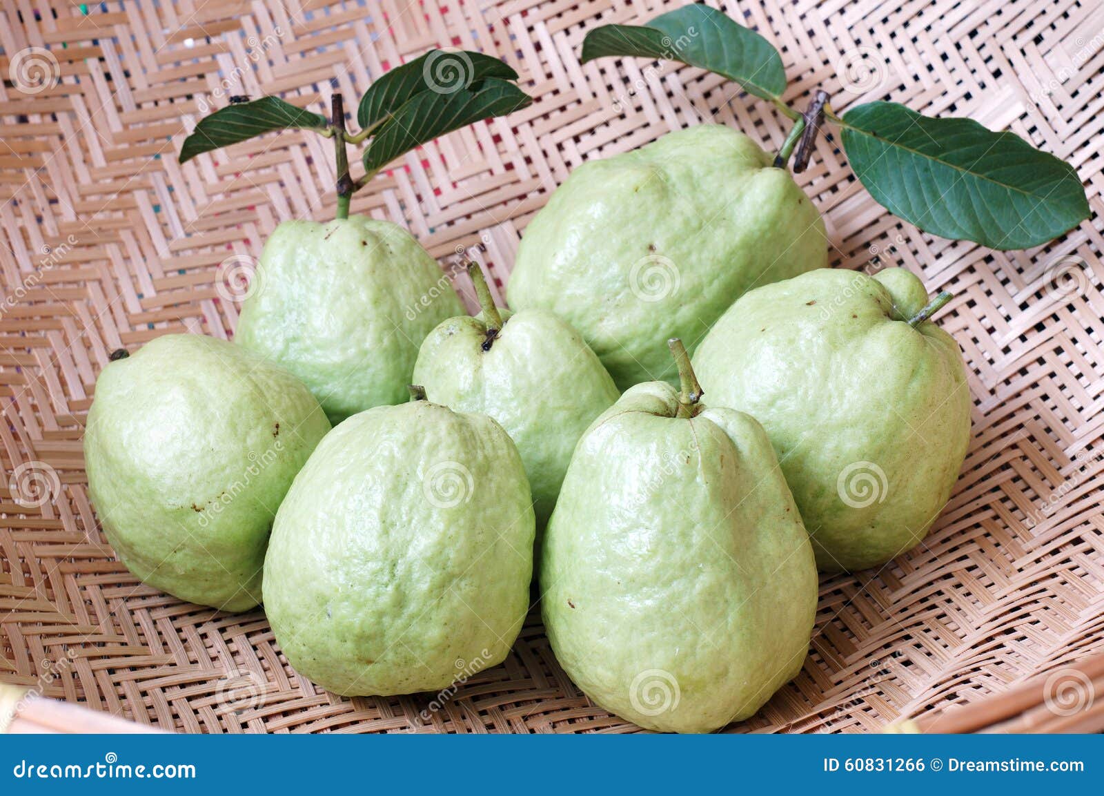 Green Guava stock photo. Image of asia, fruit, green - 60831266