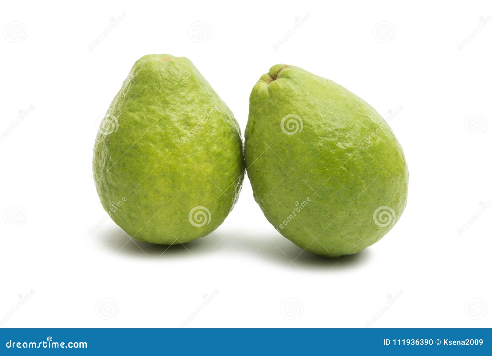 Green guava stock photo. Image of guava, delicious, organic - 111936390