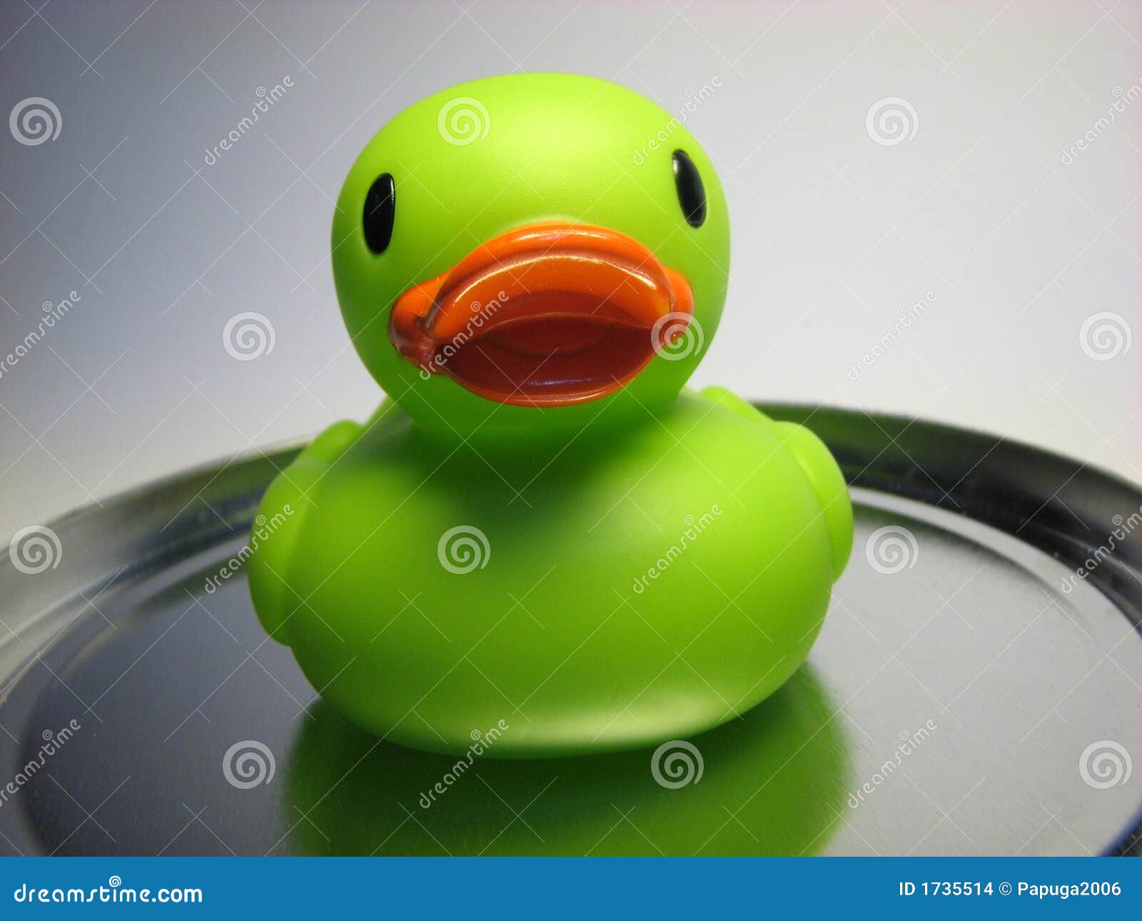 Green gum duck 15 stock photo. Image of enjoy, ducks, duck - 1735514