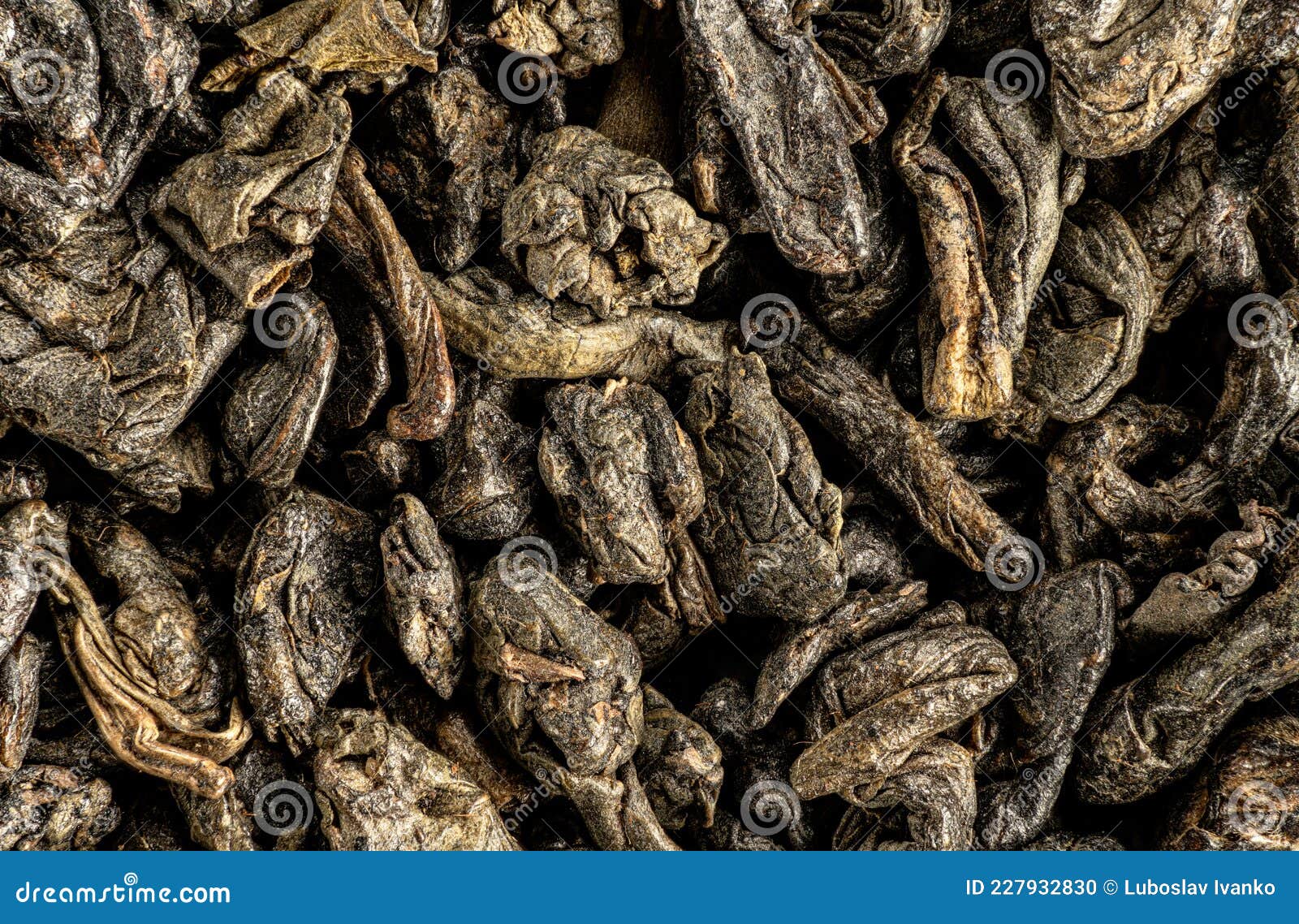 Green Gunpowder Tea, Dry Leaves Under Microscope, Image Width 23mm ...