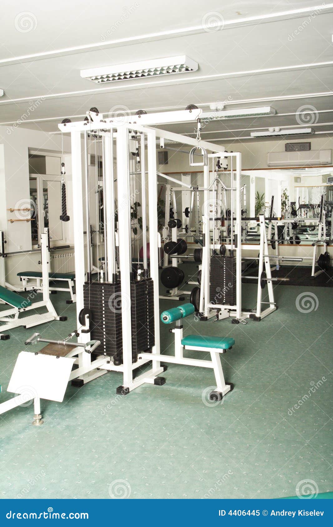 Green gym stock image. Image of bodybuilder, bodybuilding - 4406445