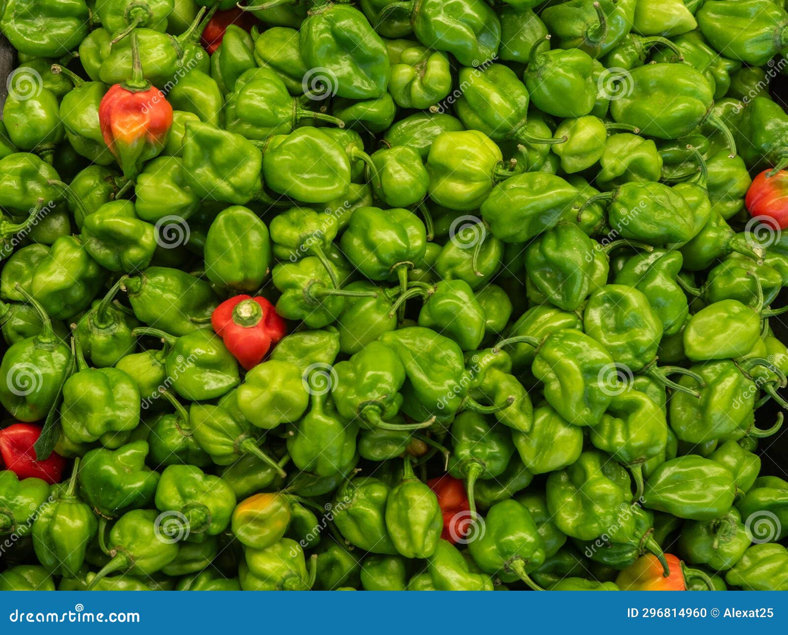 Green Habanero Pepper Texture Stock Photo - Image of fresh, space ...