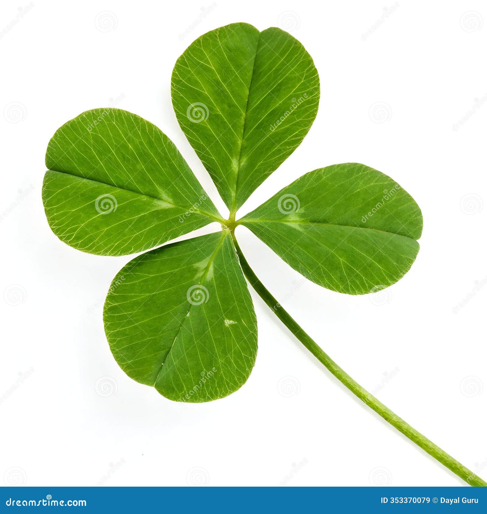 Green Happy Clover Leaf Isolated on White Background Stock Illustration ...