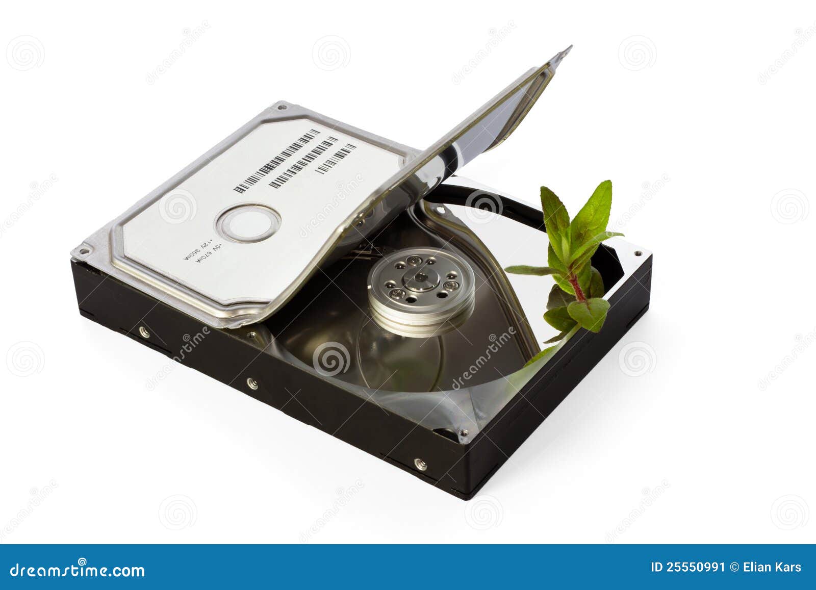 Green hard disk concept stock image. Image of grow, background - 25550991 Green hard disk concept stock image. Image of grow, background - 25550991