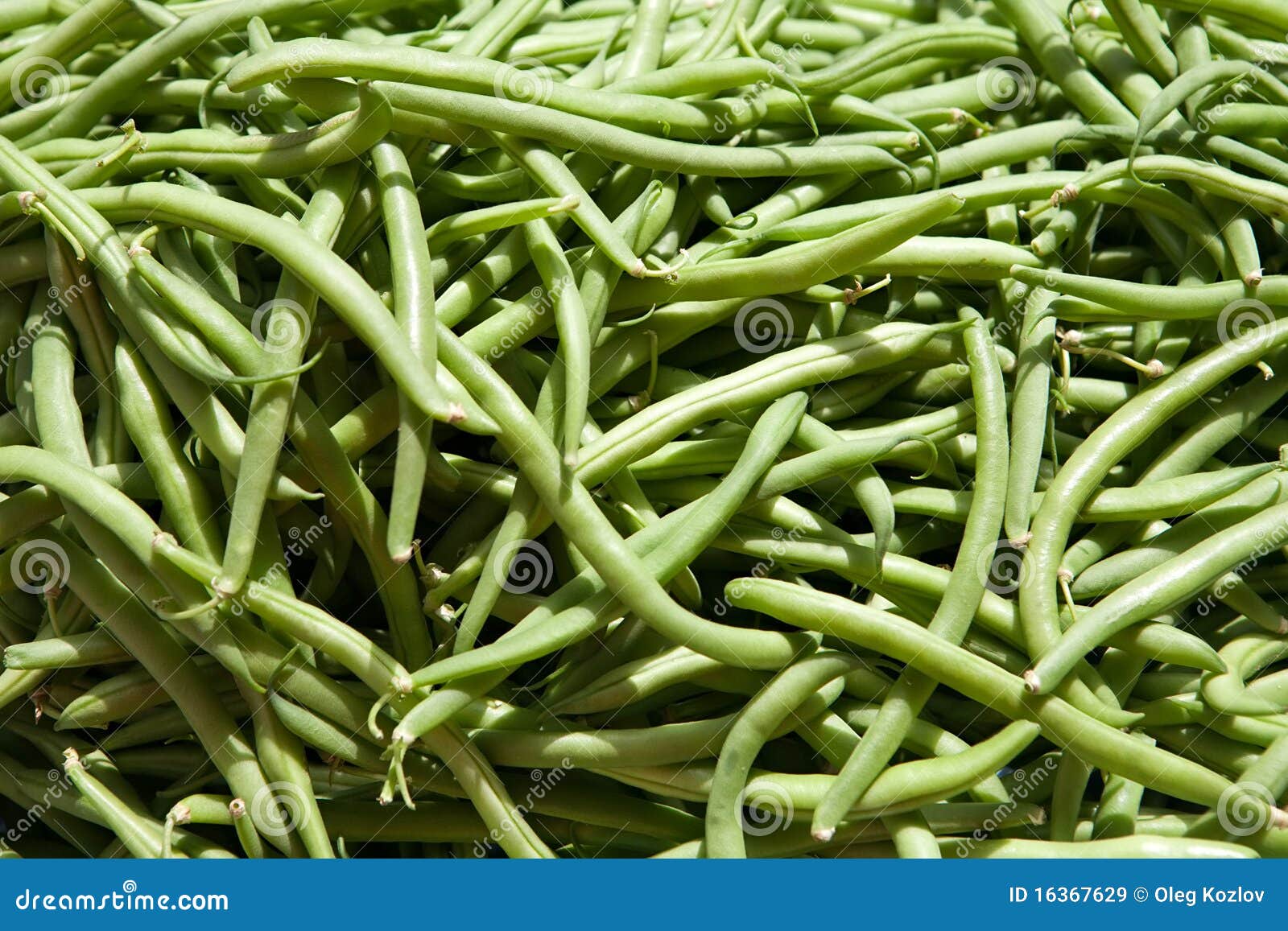 Green haricots stock image. Image of market, haricots - 16367629
