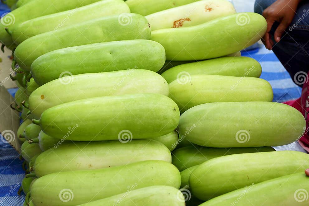 Green hatch in the market. stock image. Image of vegetable - 46231929