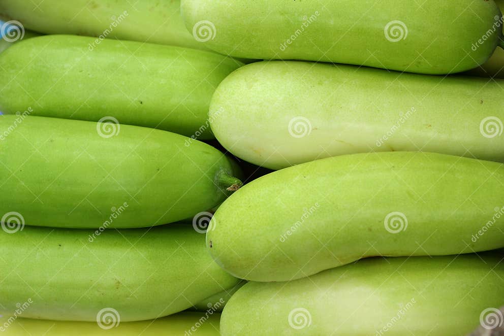Green hatch in the market. stock photo. Image of food - 46464990