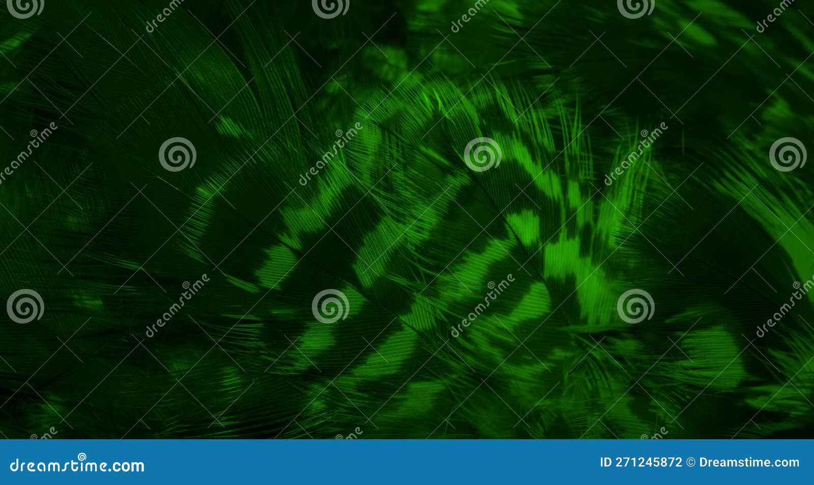 Green Hawk Feathers with Visible Detail. Background or Texture Stock ...