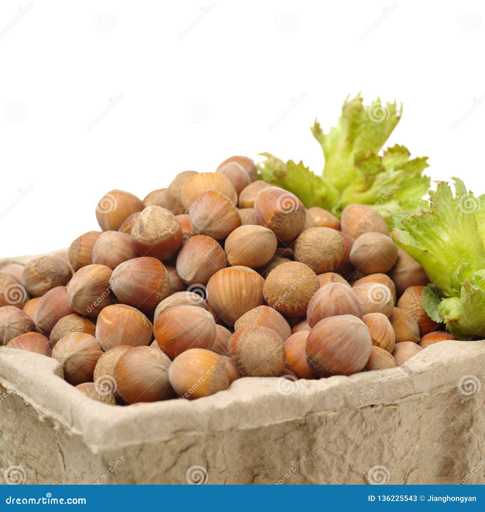 Green hazelnut stock image. Image of fresh, group, green - 136225543