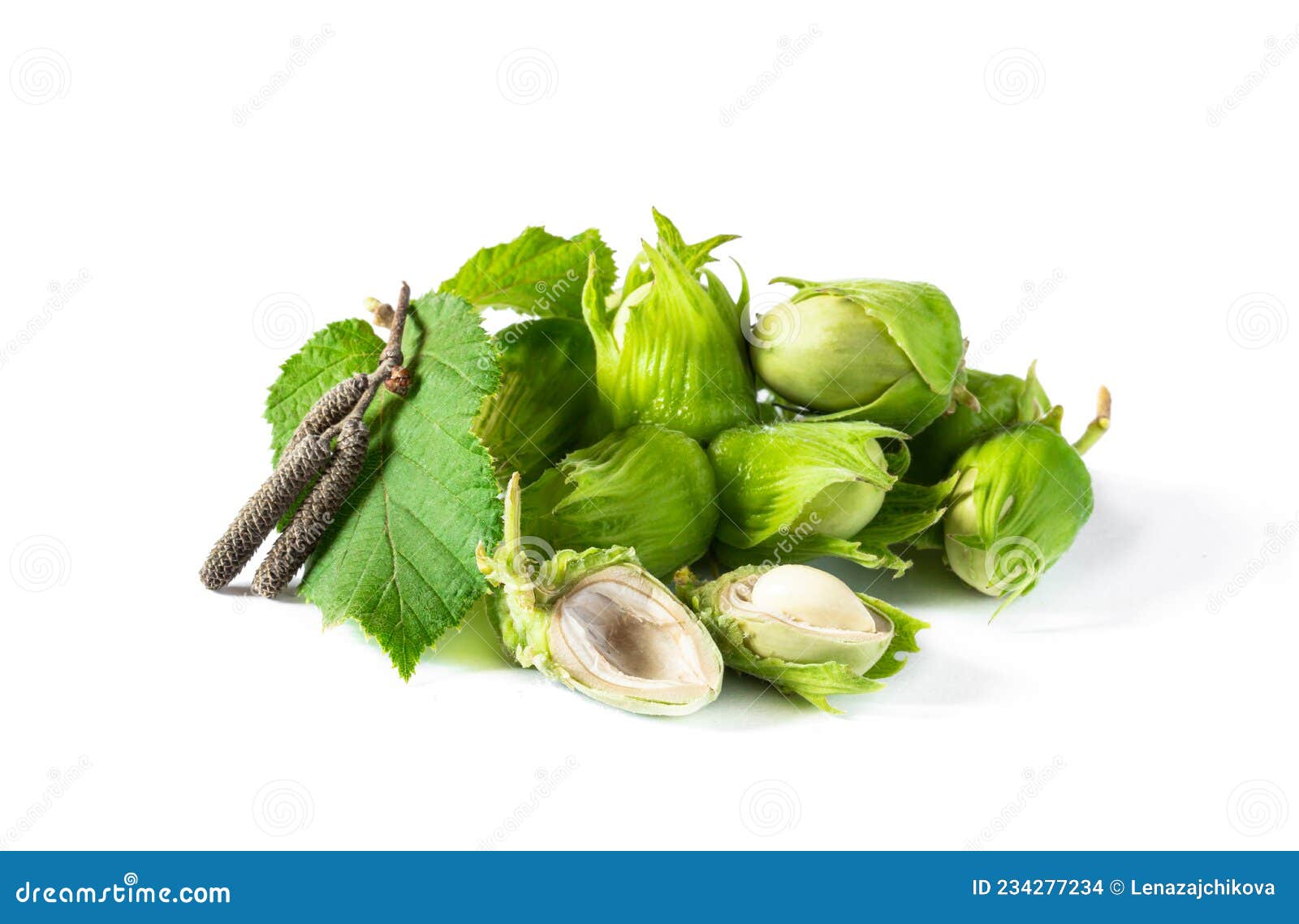 Green Hazelnut Nuts Isolated on White Stock Photo - Image of seed, food ...