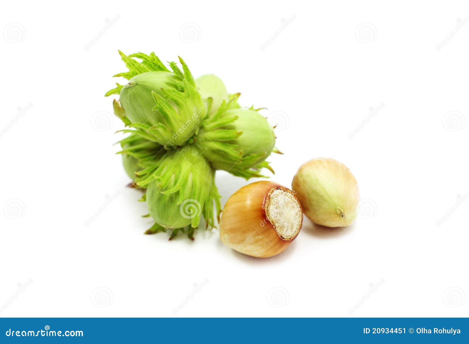 Green hazelnuts stock image. Image of close, natural - 20934451
