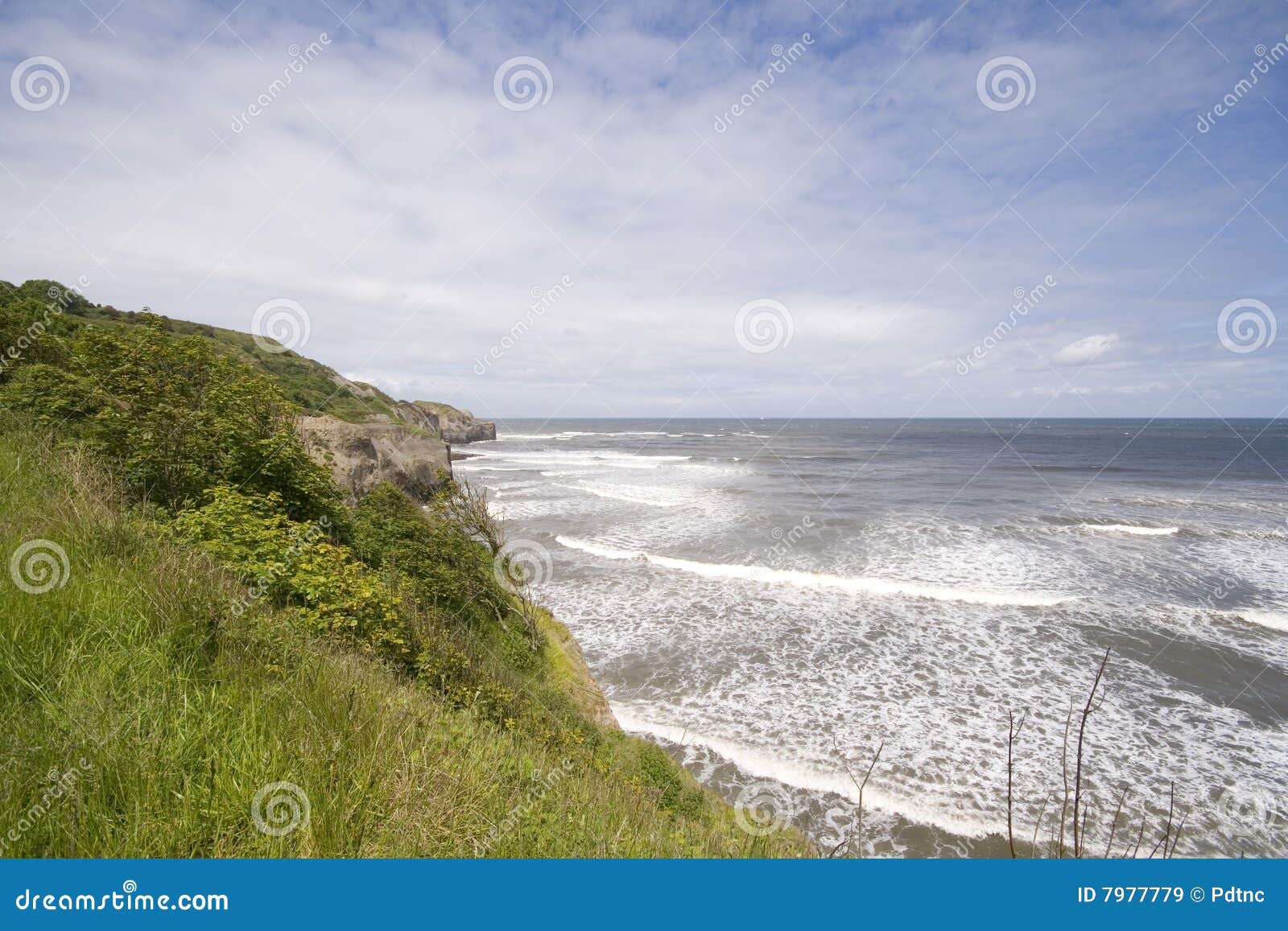 Green Headland in Summer Seascape Stock Image - Image of yorkshire ...