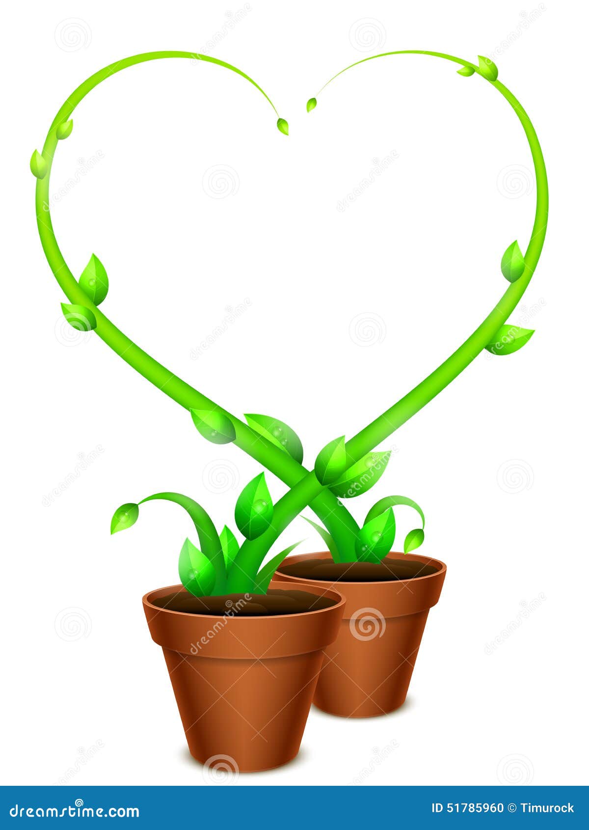 Green Heart Frame stock vector. Illustration of love - 51785960