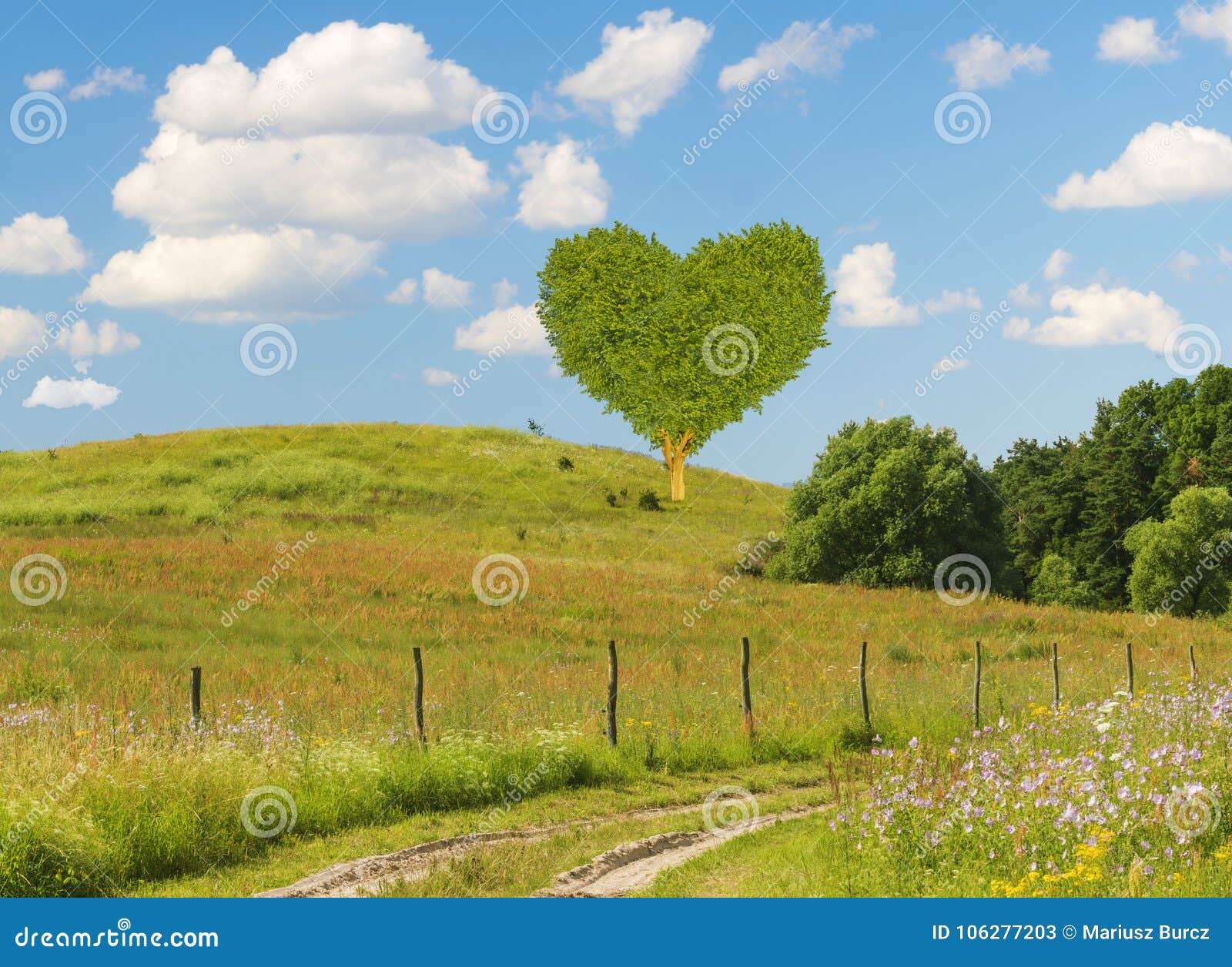 Green heart-shaped tree stock image. Image of beautiful - 106277203