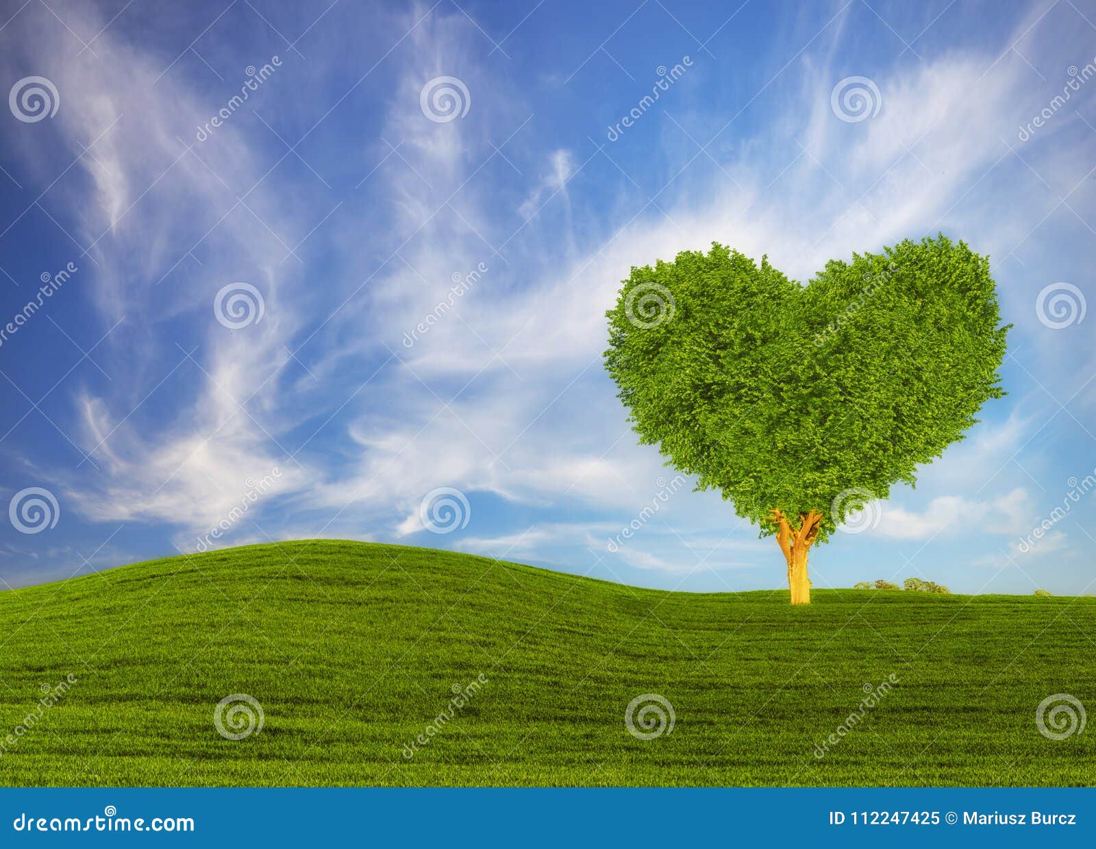 Green Heart-shaped Tree on a Spring Meadow Stock Image - Image of ...