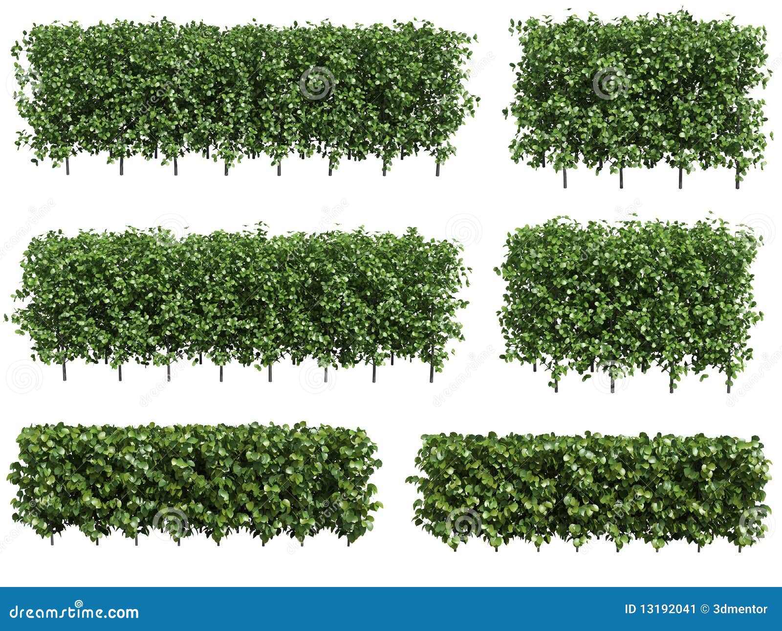 Green Hedge Stock Image - Image: 13192041